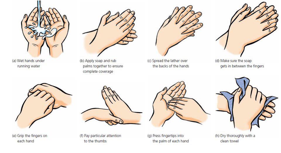 Meals and Snacks at Head Start of Lane County – Head Start of Lane County
